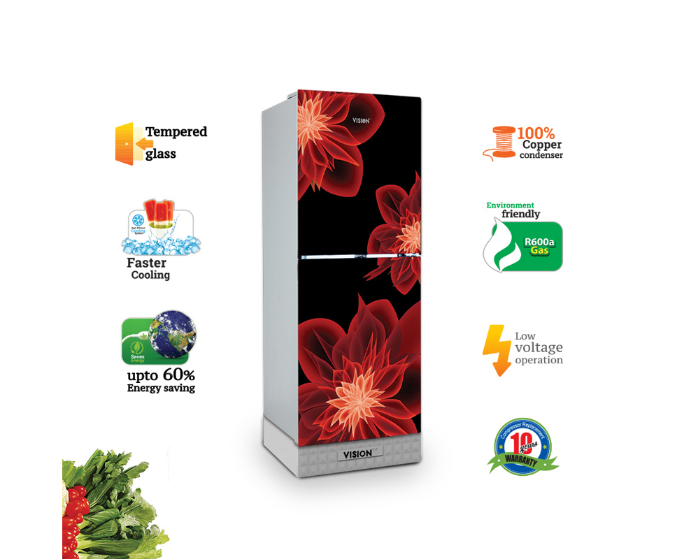 VISION GD Refrigerator RE-240L Dahlia Red-TM – MAYRAJ